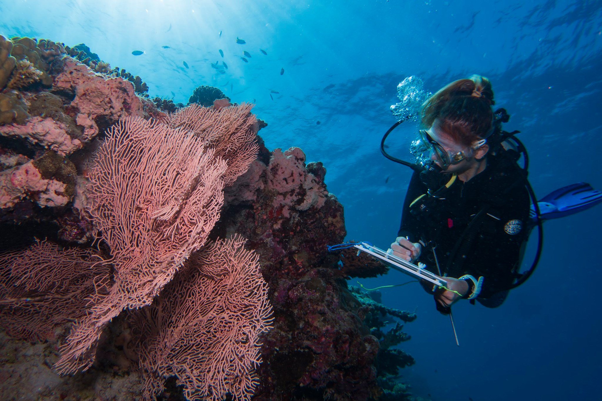 Can Family Vacations Teach Children to Save Our Oceans? — Asia Sustainable Travel