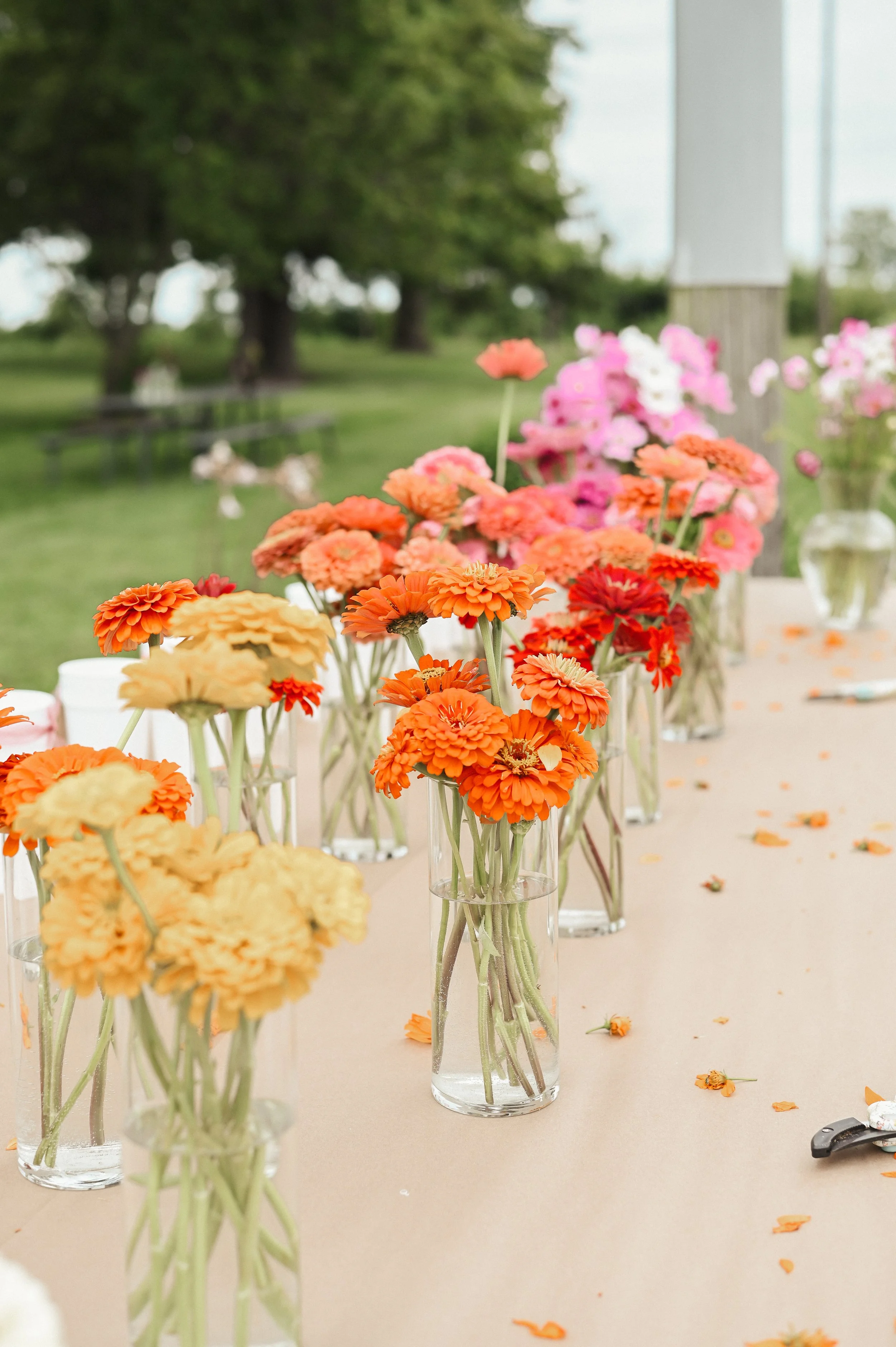 Tate Flower Farm
