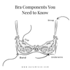 Everything You Should Know Before Buying Your Next Bra Online — Autum Love