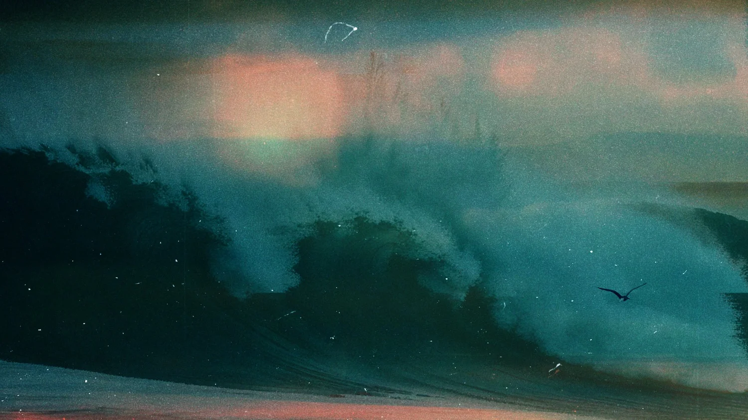 Function Venue | Rooftop Bar | Cruise Bar Sydney