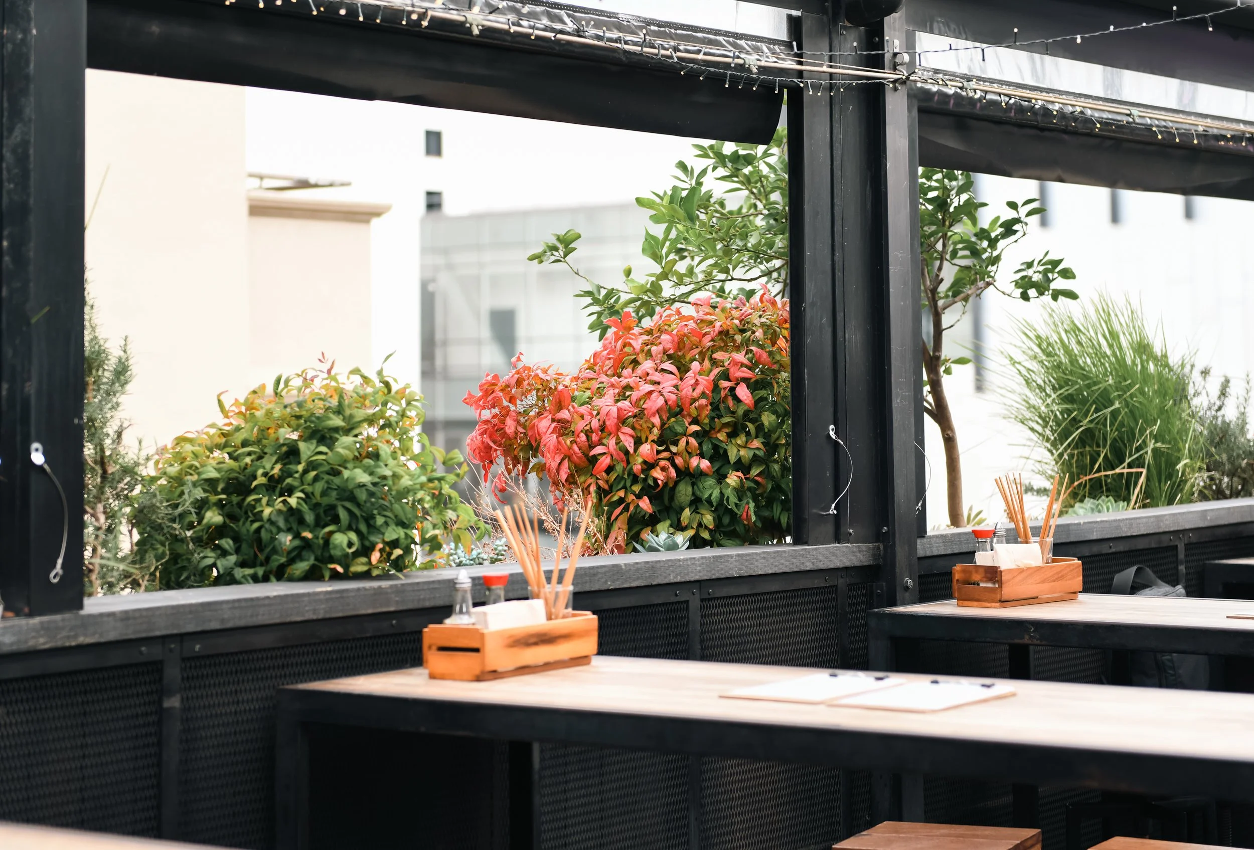 Contact Us — Goldilocks Rooftop Bar