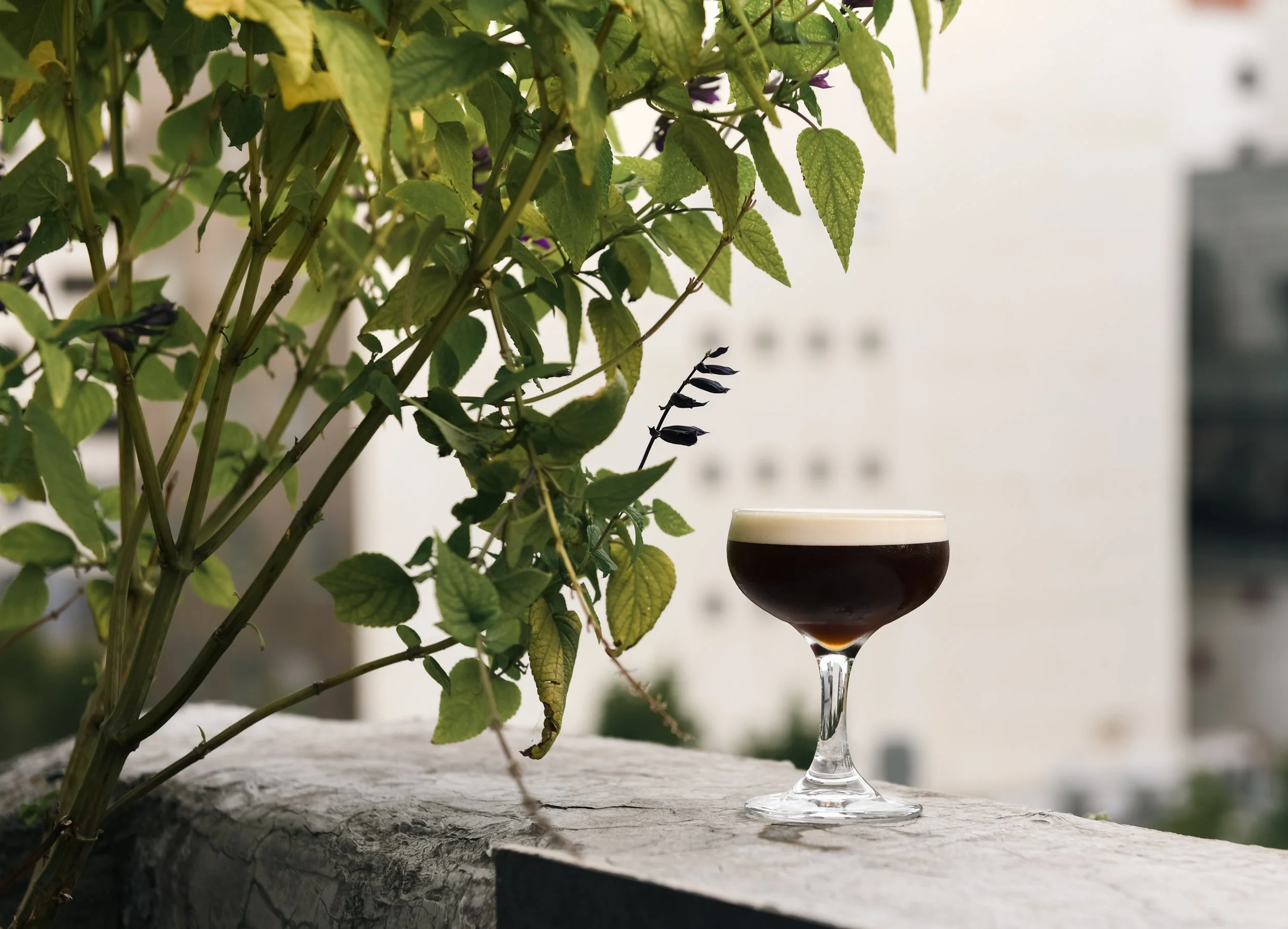 Goldilocks Rooftop Bar