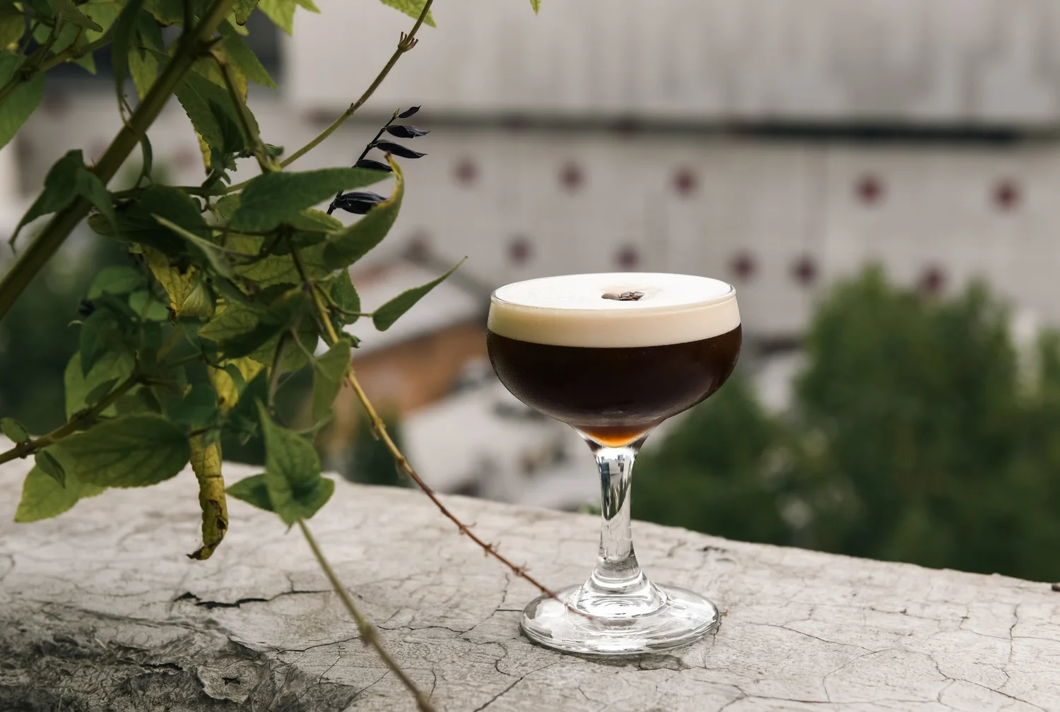 GOLDILOCKS ROOFTOP BAR