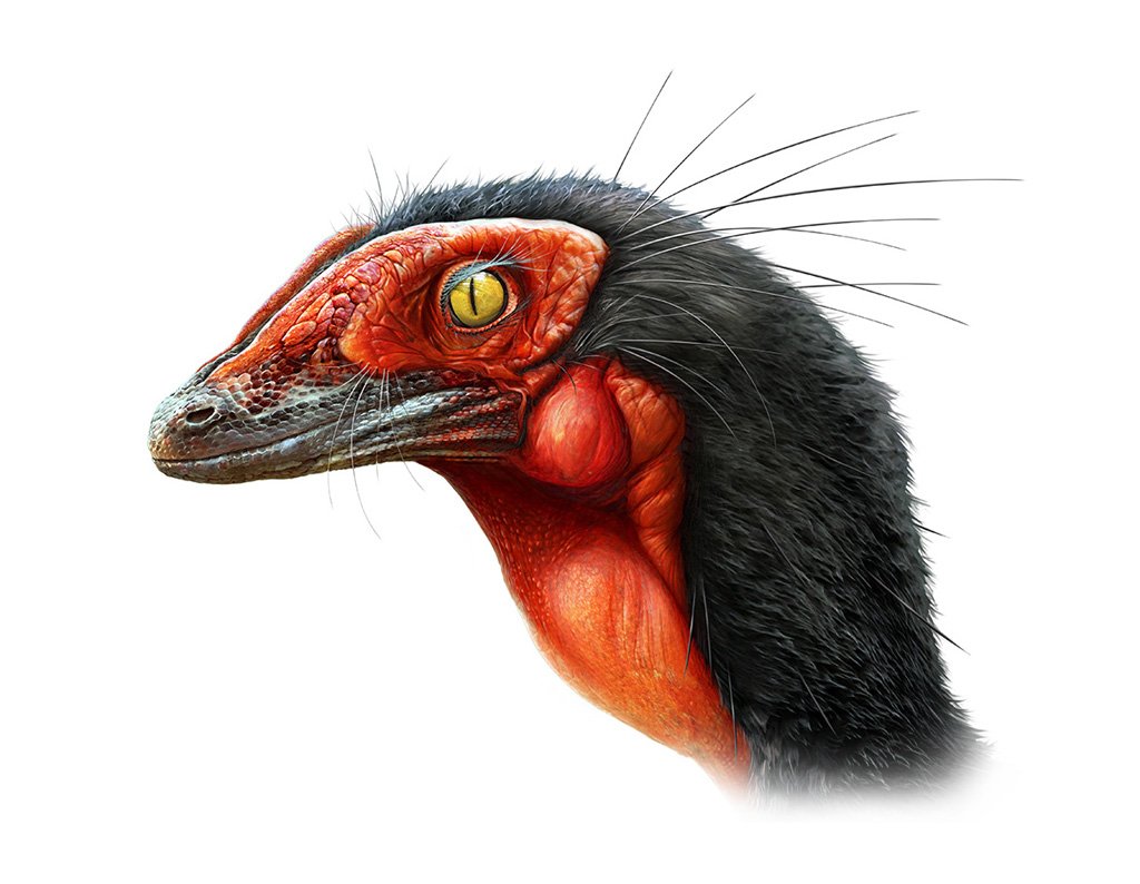 andy frazer | illustrator