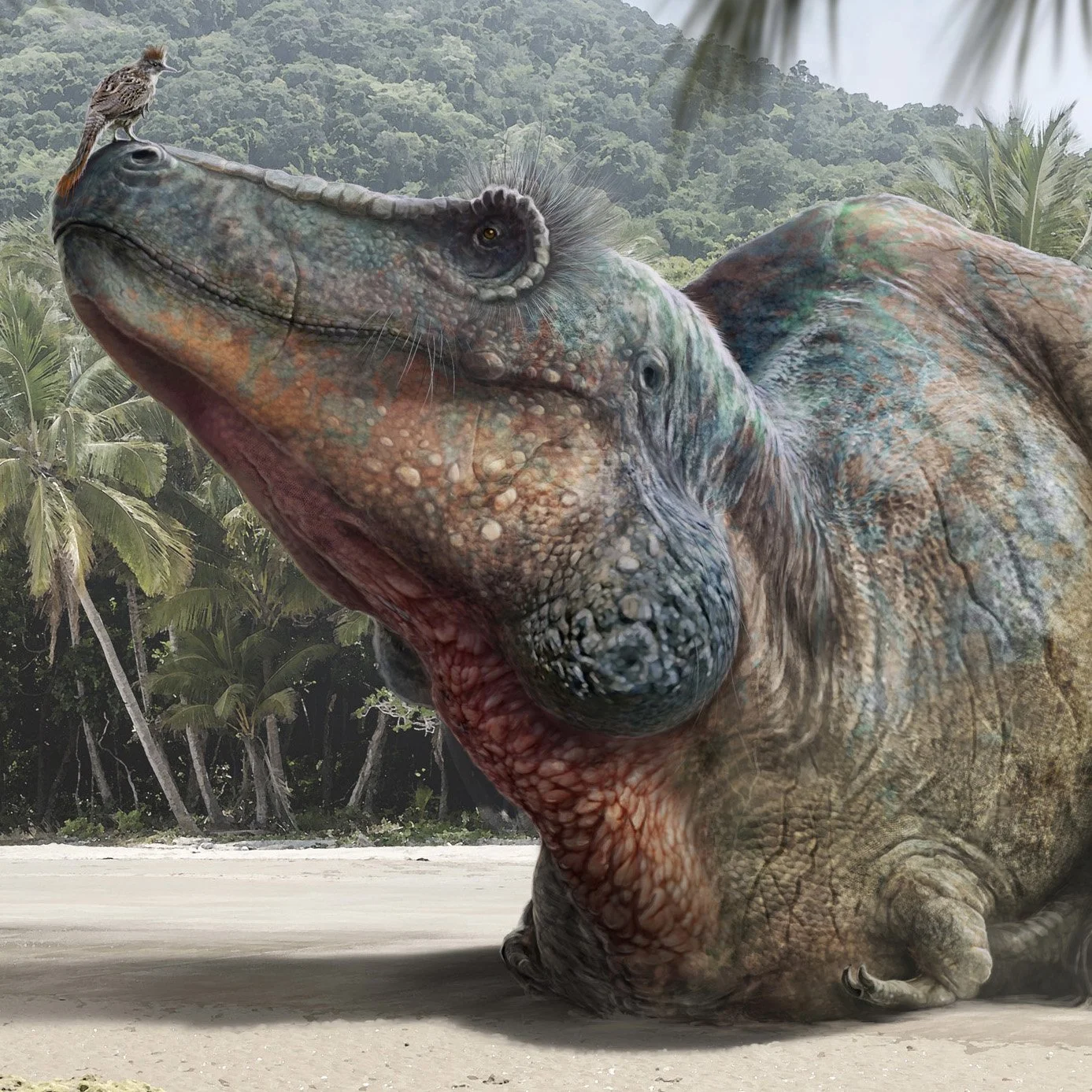 andy frazer | illustrator