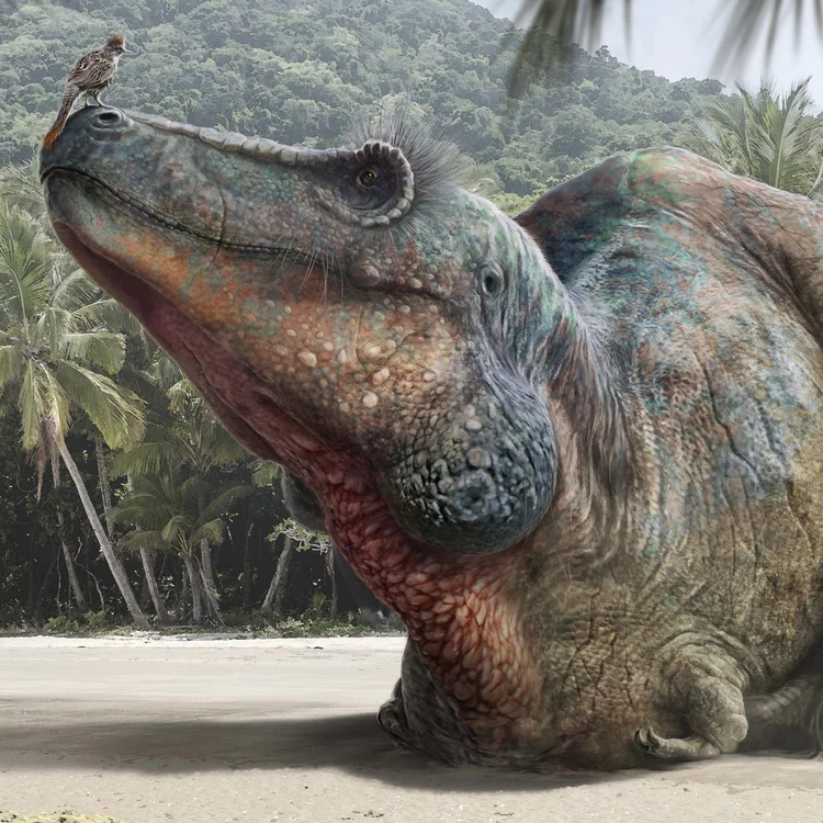 andy frazer | illustrator