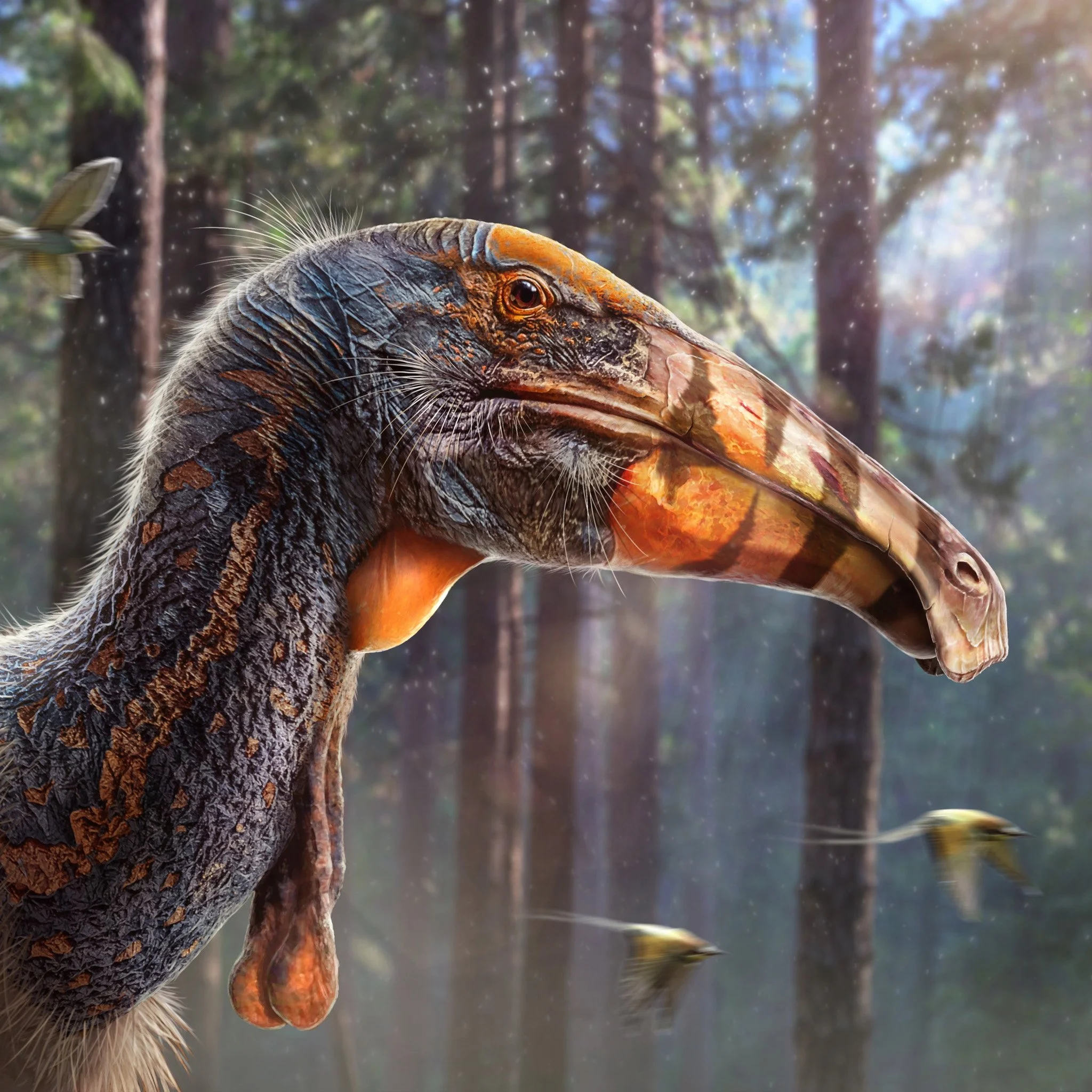 andy frazer | illustrator