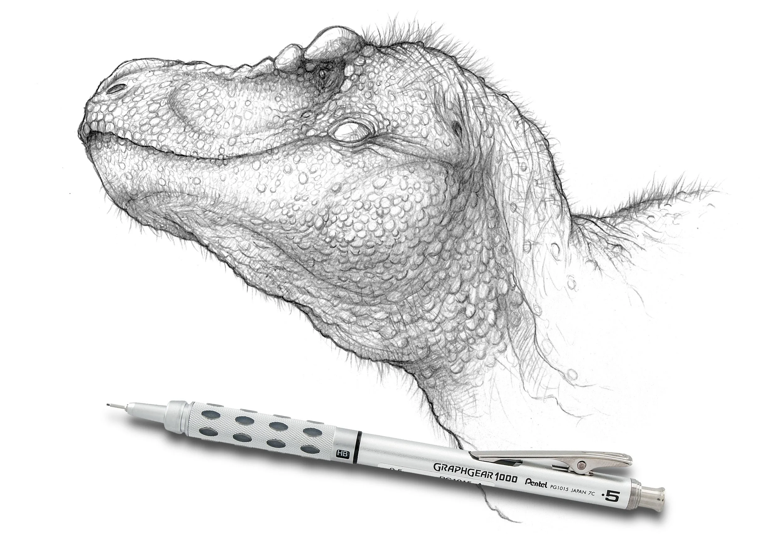 andy frazer | illustrator