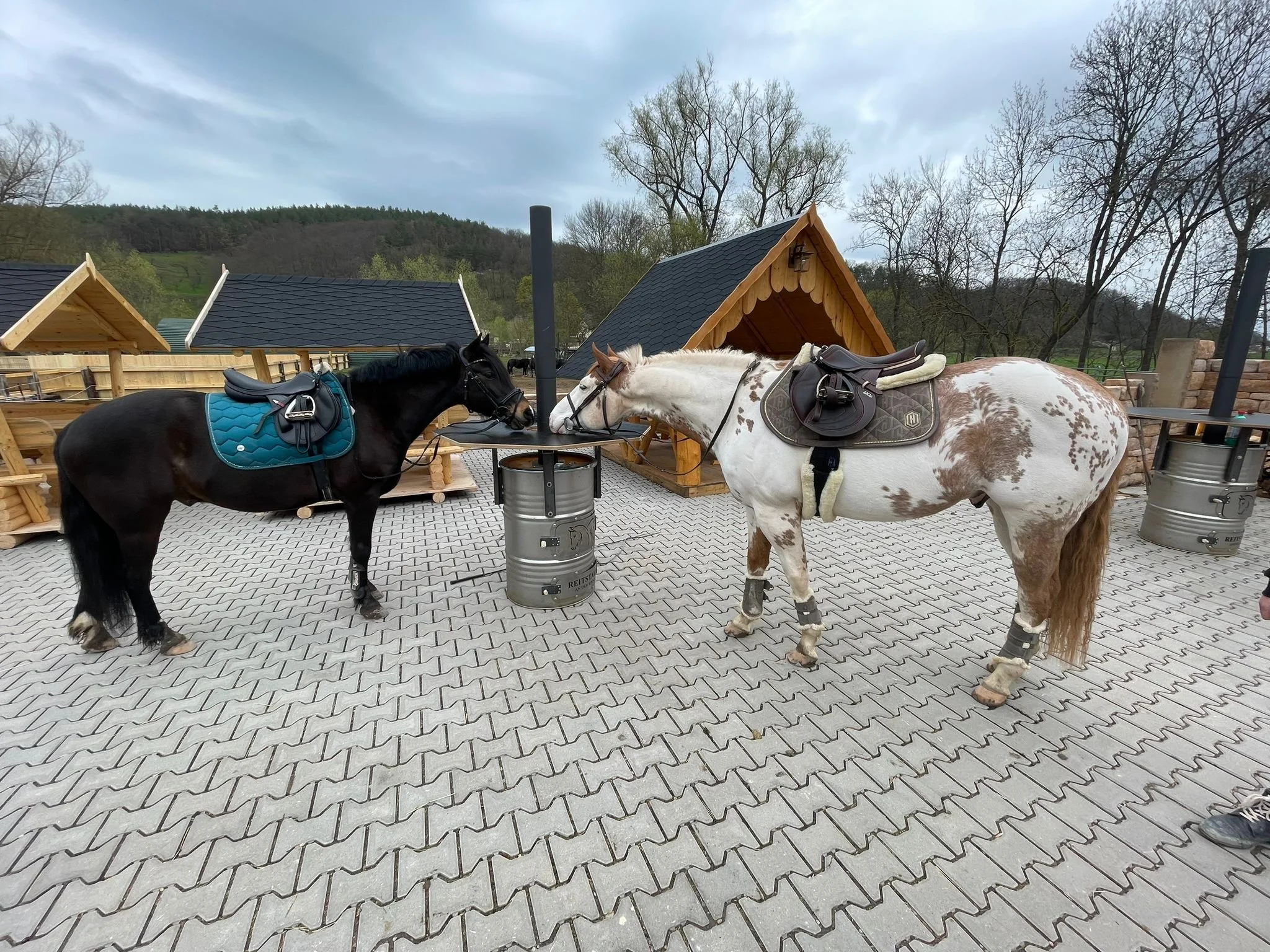 Leistungen — Reitstall an der Rinne