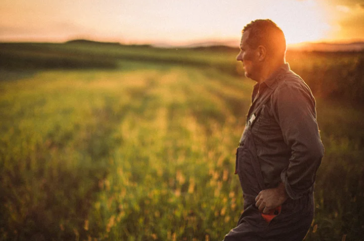 Why More U.S. Farmers Are Turning to the H2A Visa Program | USA Farm ...