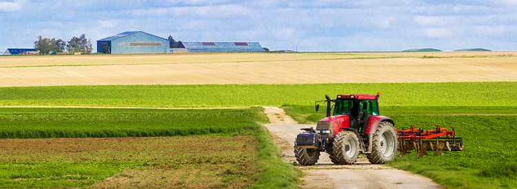 H2A Program Services and Process | USA Farm Labor, Inc.