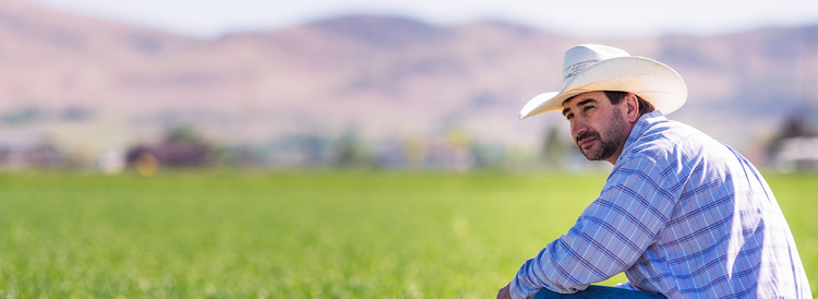 Contact Us | USA Farm Labor, Inc.