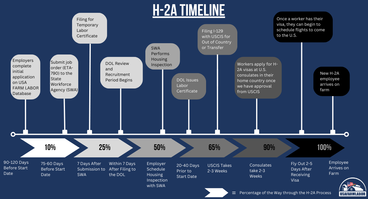 H-2A Program Application Timeline | USA Farm Labor, Inc.
