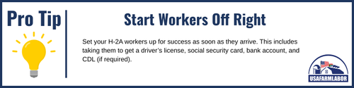 H-2A Visa Program Overview | USA Farm Labor, Inc.