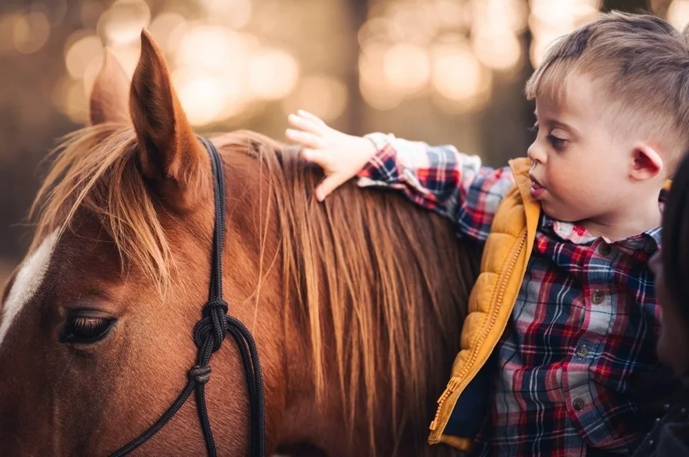 Sunshine Theraputic Riding Center