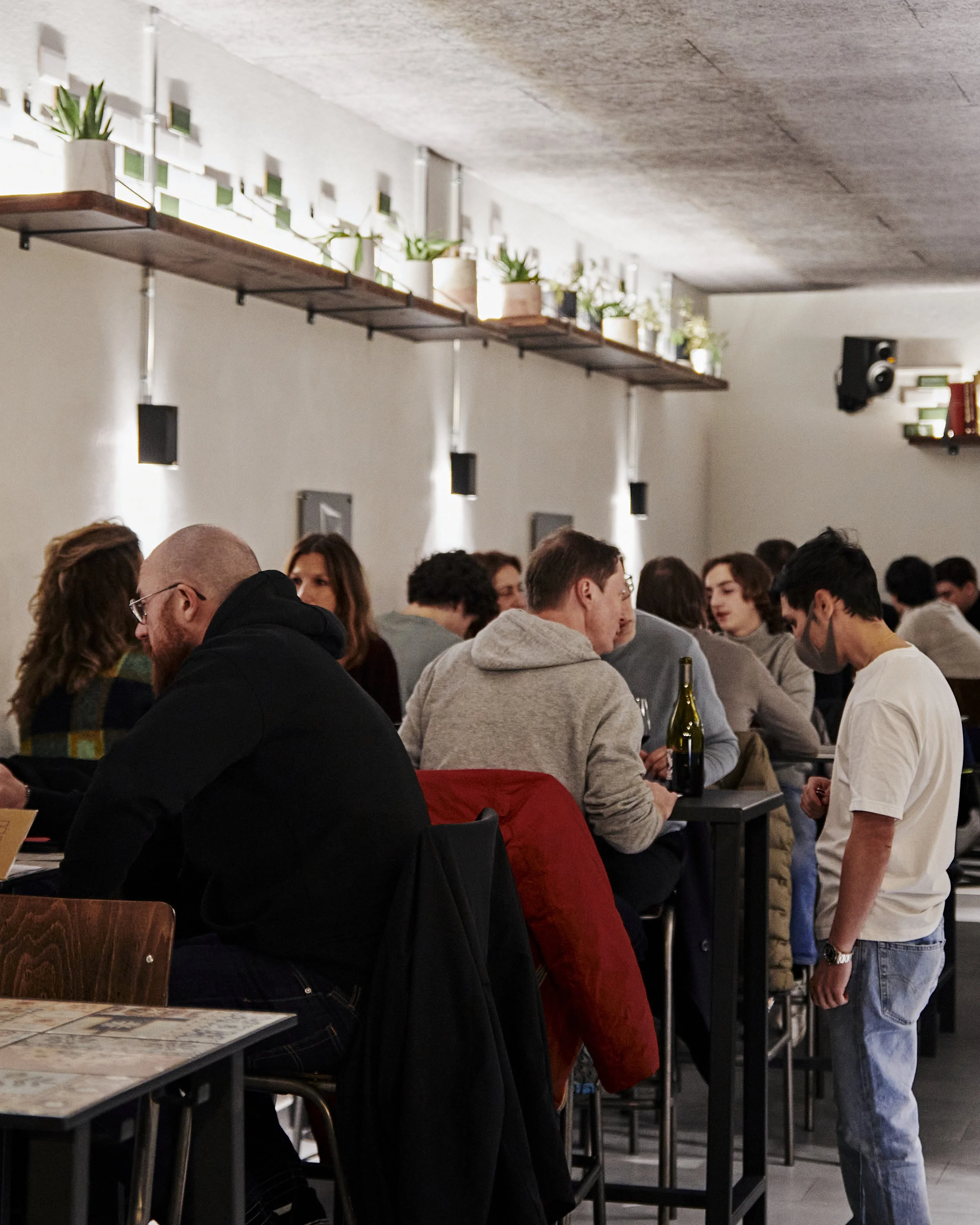Sauvage | Bar-Restaurant à Plainpalais, Genève