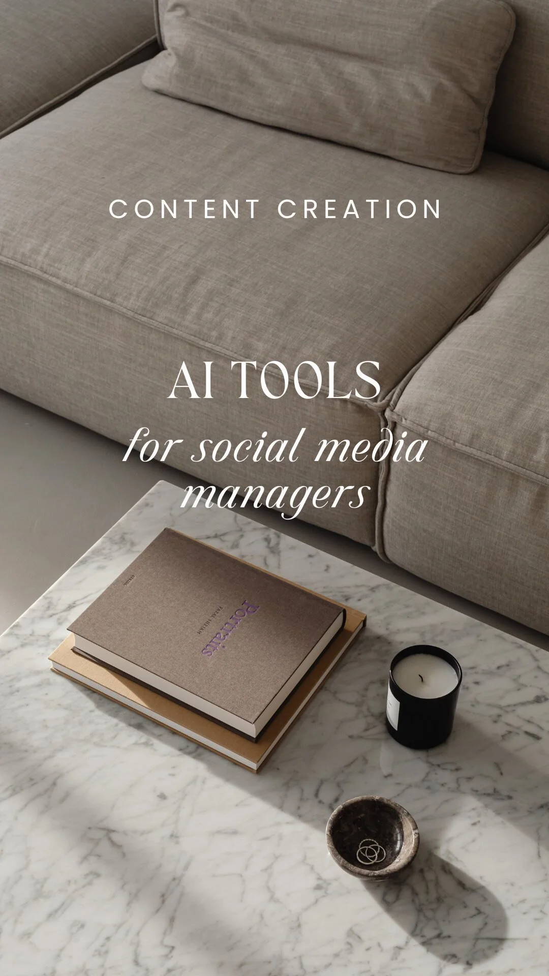 5 Habits For Success — The Social Shells