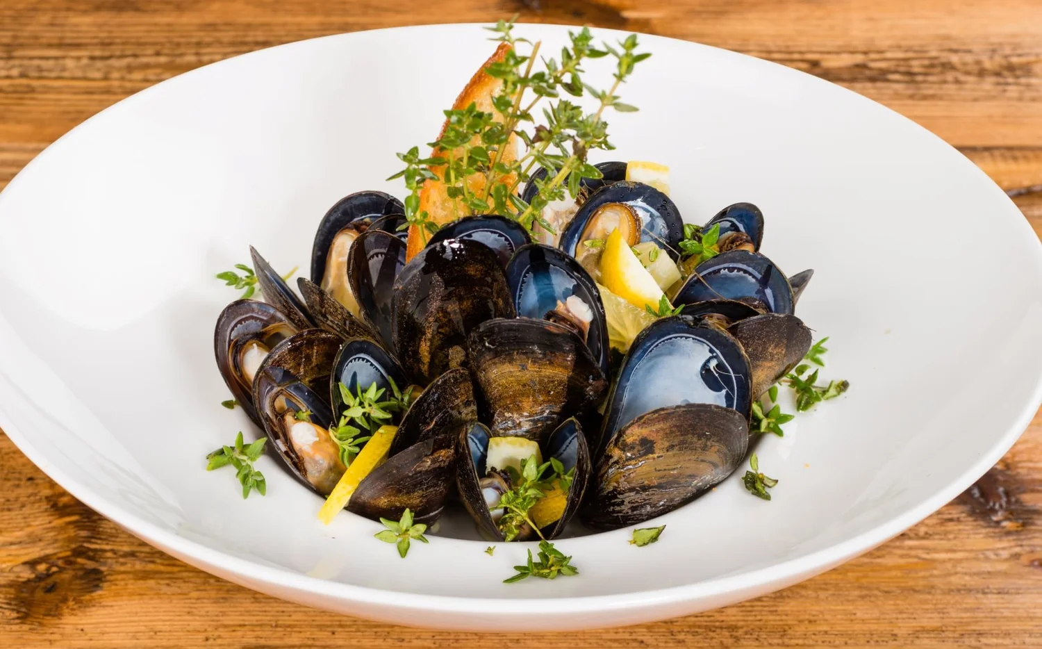 Photos — Zio Cecio