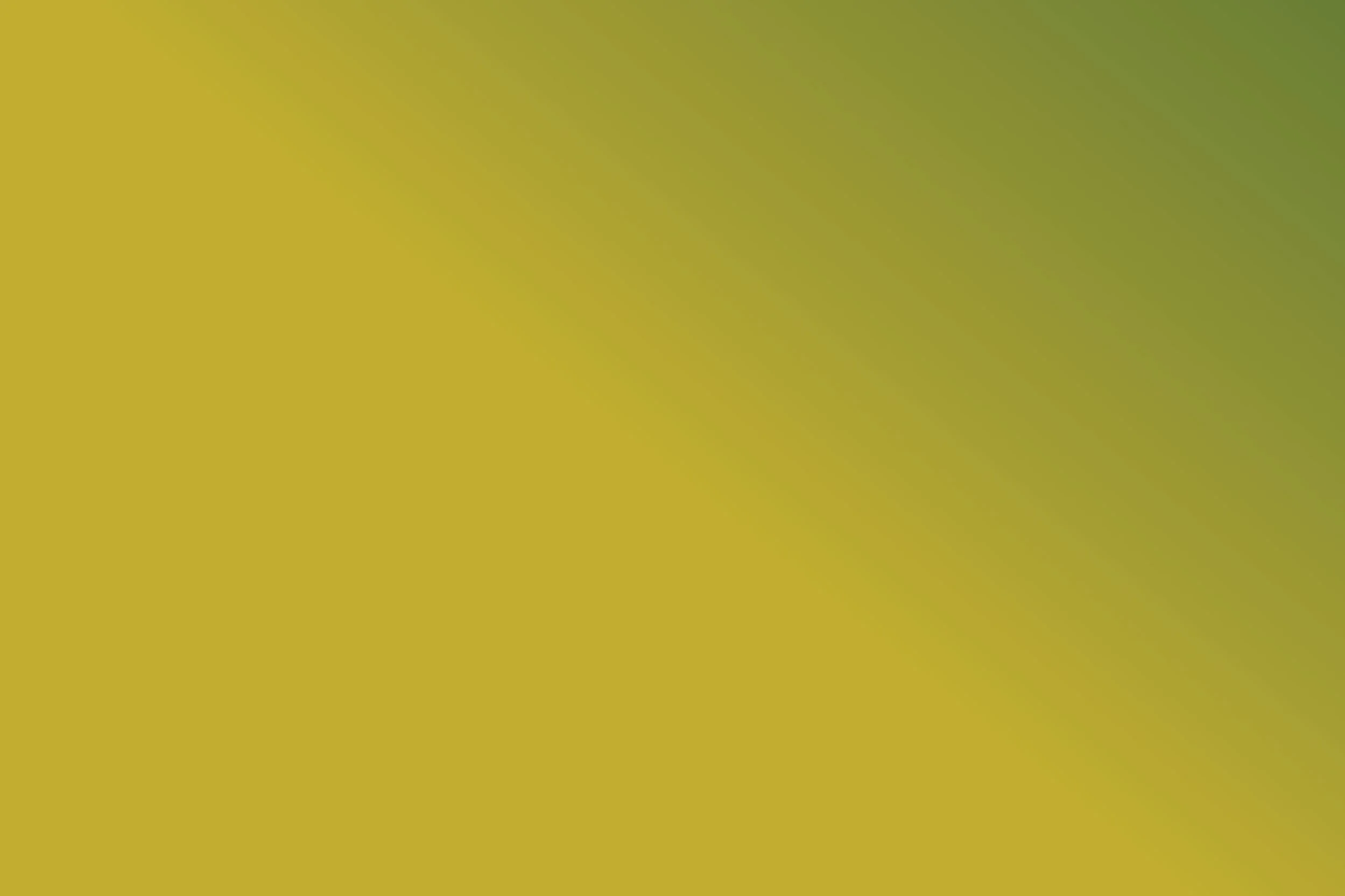 Eviction Data — Shelterwell