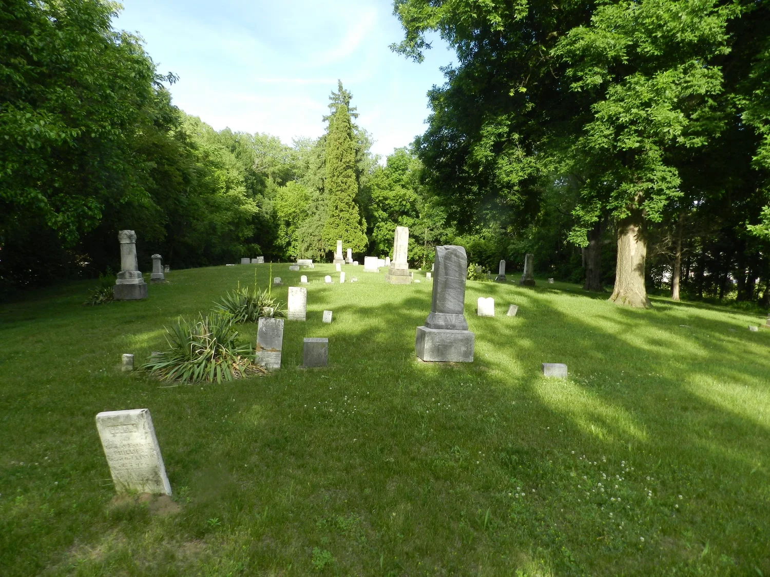 Pioneer Cemetery — Holt-Delhi Historical Society