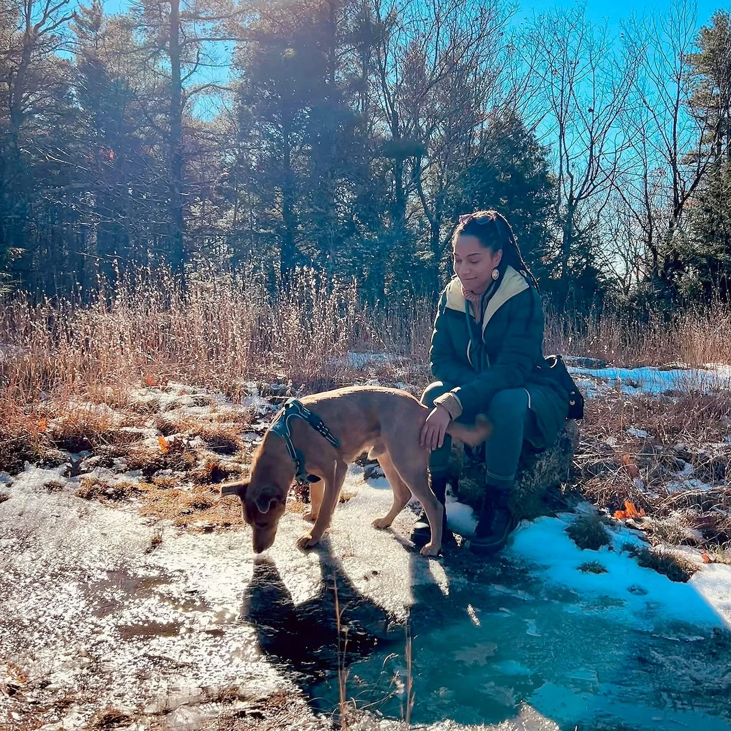 My Approach To Massage Therapy & Dedication To Individuals — Restored ...