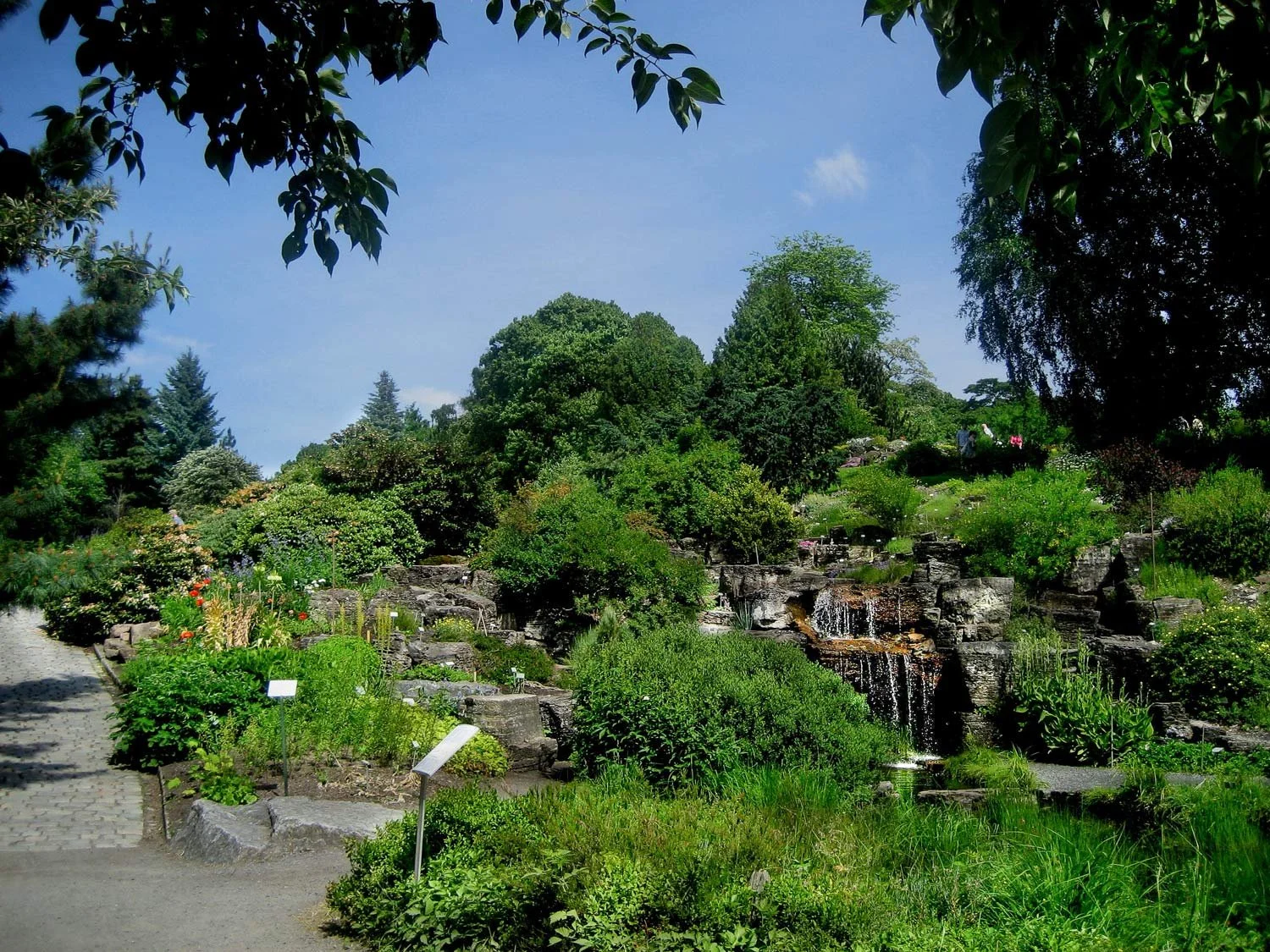 The Botanical Garden — Oslo Fjord Guide