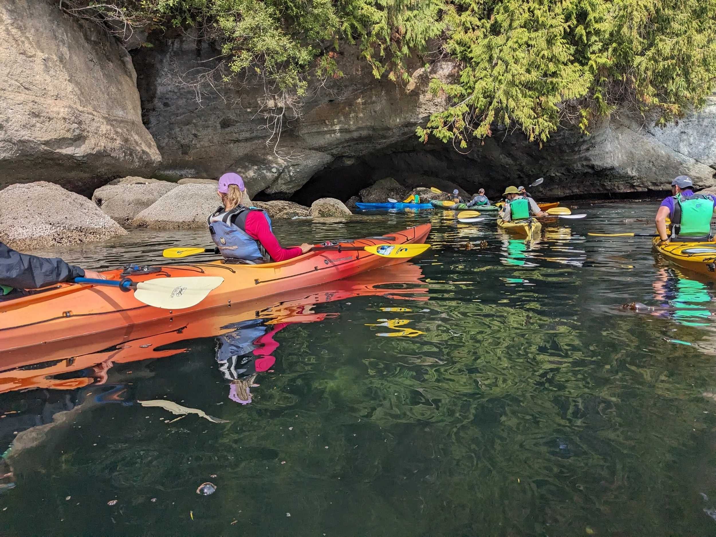 Sea Kayak Along the Beautiful Olympic Peninsula Coastline