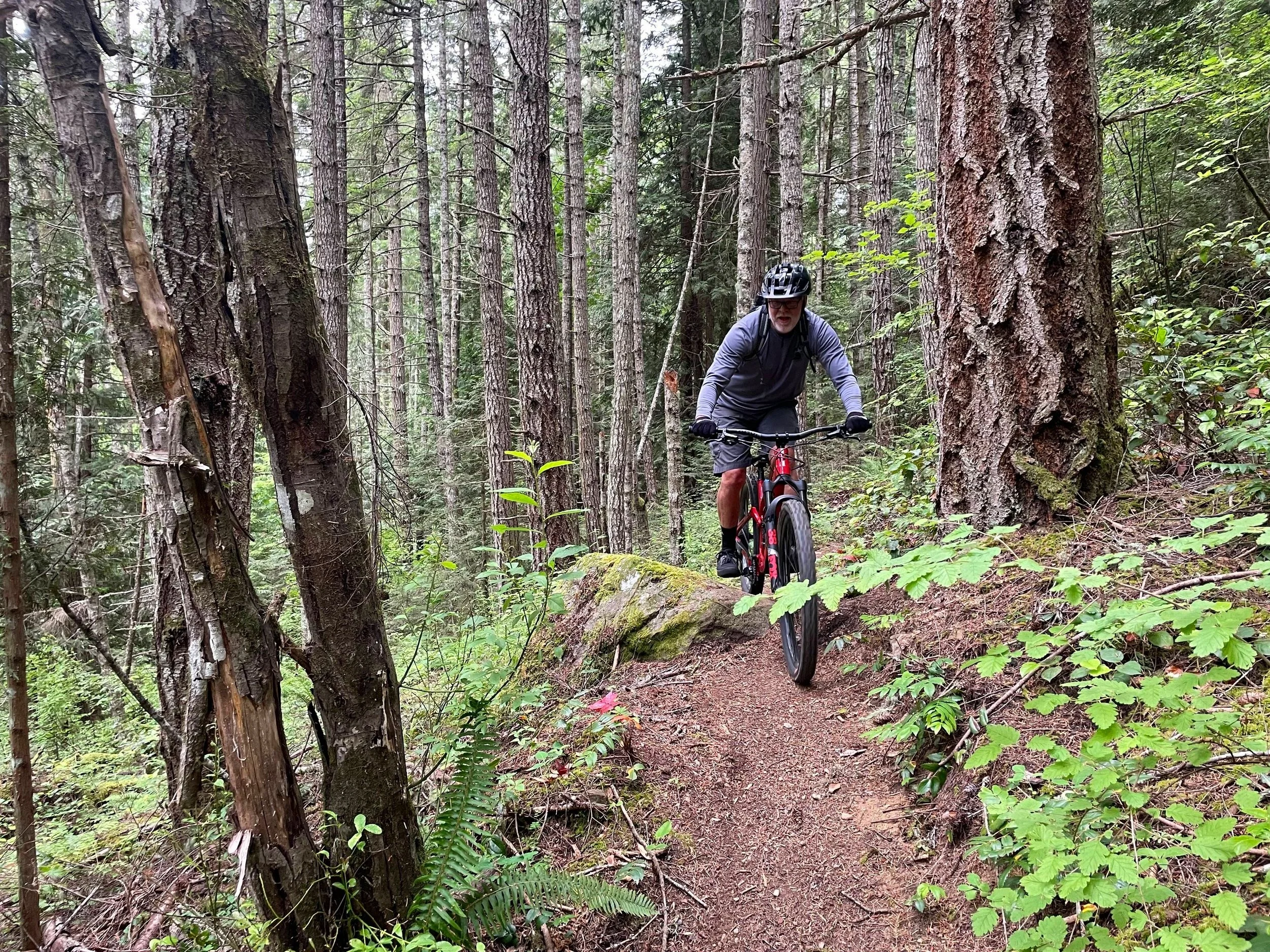 Olympic Peninsula Guided Mountain Bike and Paved Path Tours