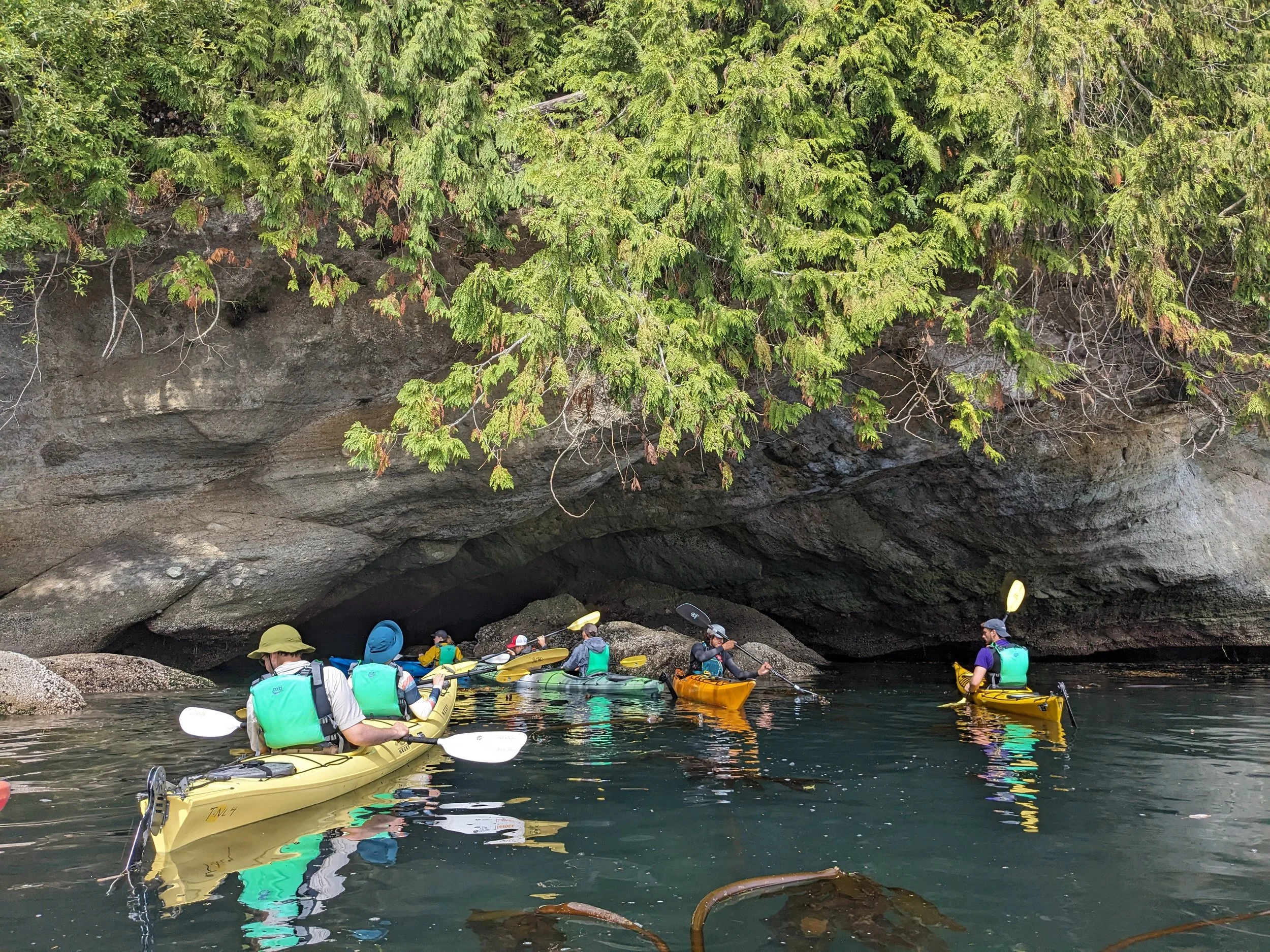 Sea Kayak Along the Beautiful Olympic Peninsula Coastline
