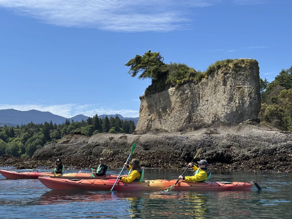 Elevate Outdoors: Adventure Tours on the Olympic Peninsula
