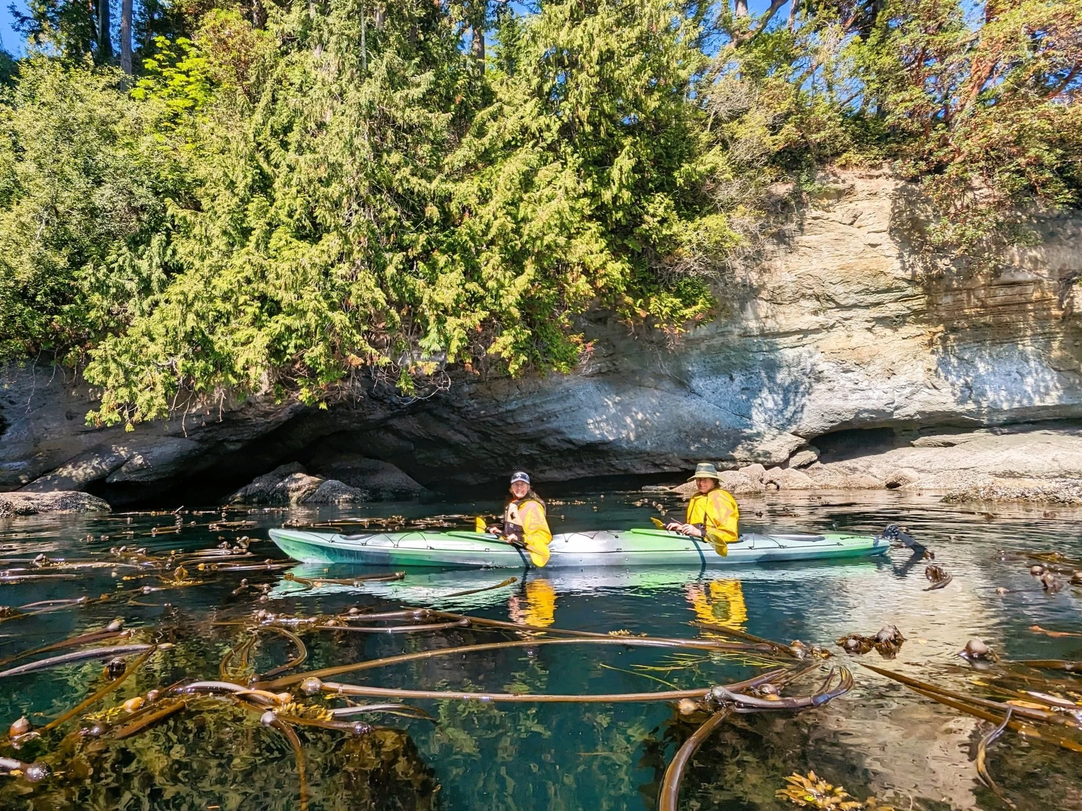 Elevate Outdoors: Adventure Tours on the Olympic Peninsula