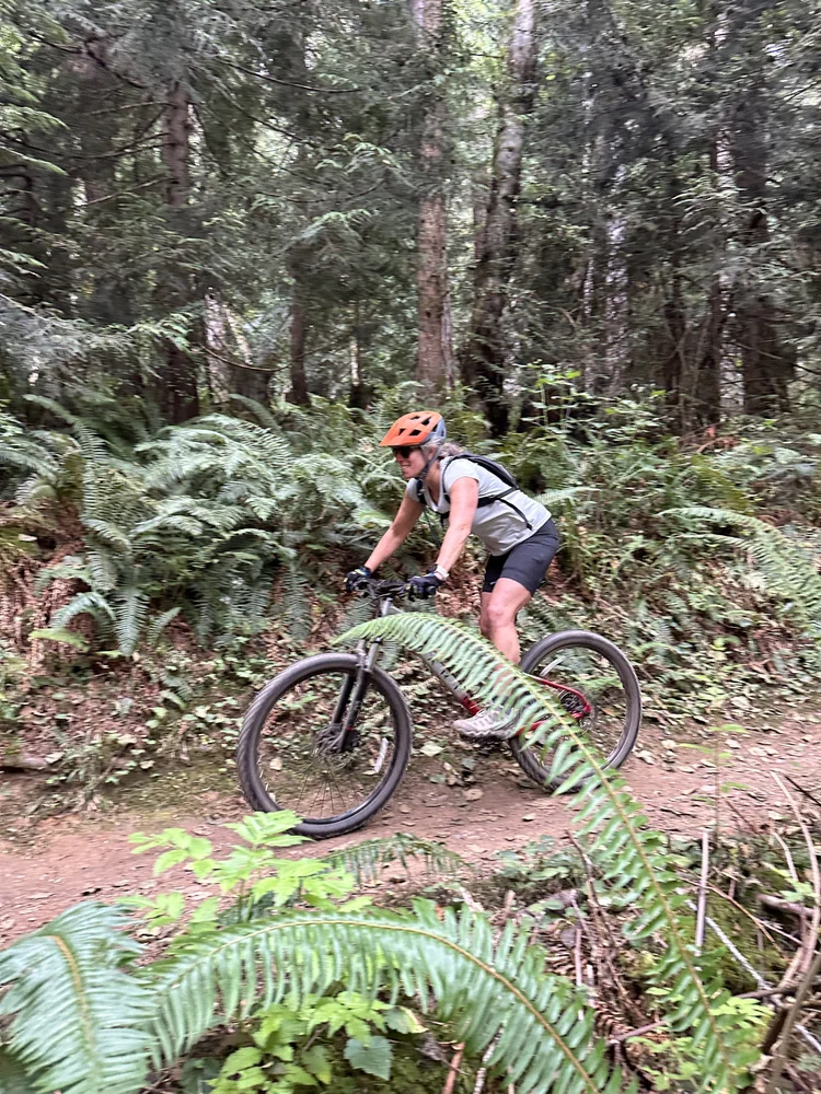 Elevate Outdoors: Adventure Tours on the Olympic Peninsula