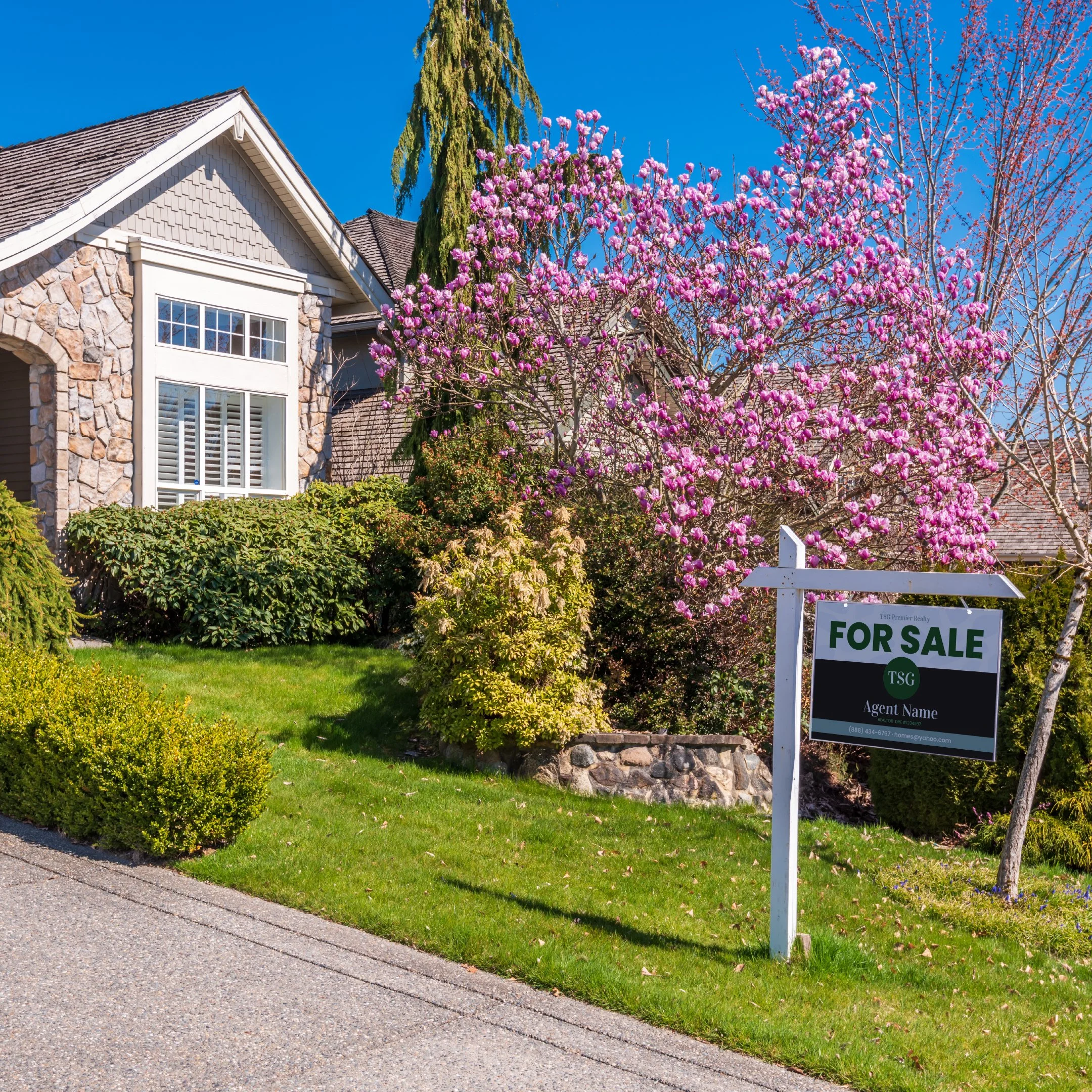 Why TSG — TSG Premier Realty