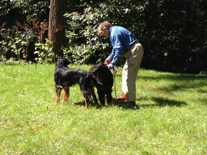 Pacific Northwest Gordon Setter Club