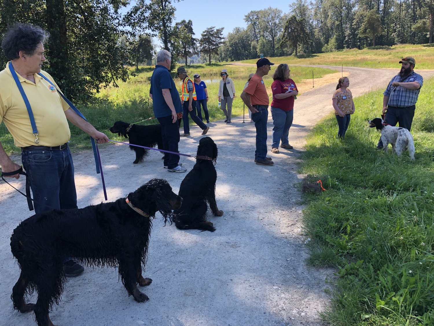 Pacific Northwest Gordon Setter Club
