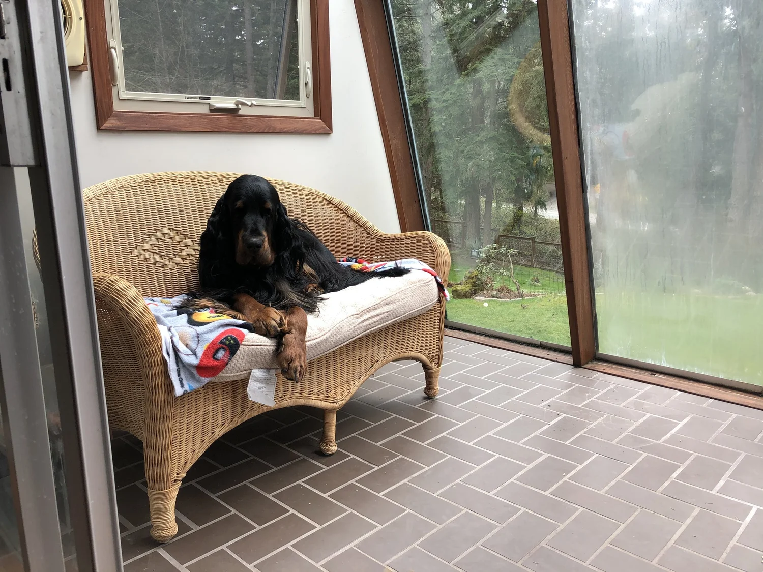 Pacific Northwest Gordon Setter Club