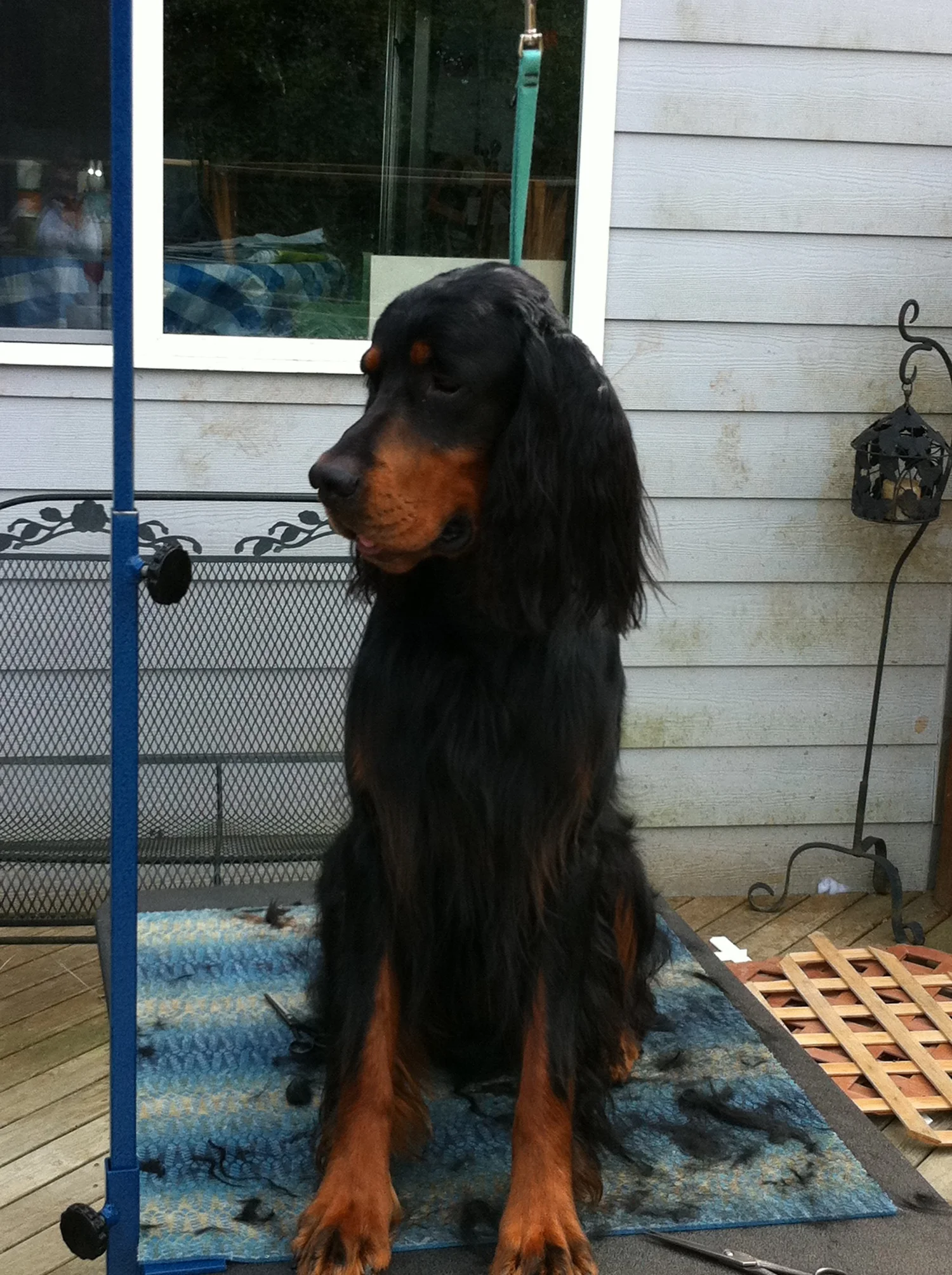 Pacific Northwest Gordon Setter Club