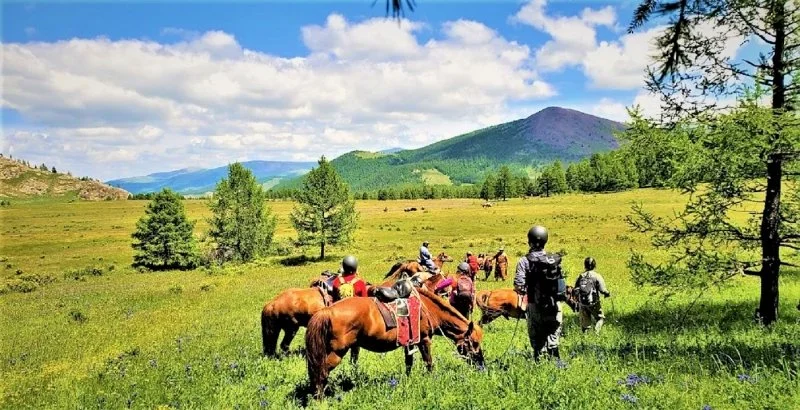 Luxury Horseback Riding — New Milestone Tours