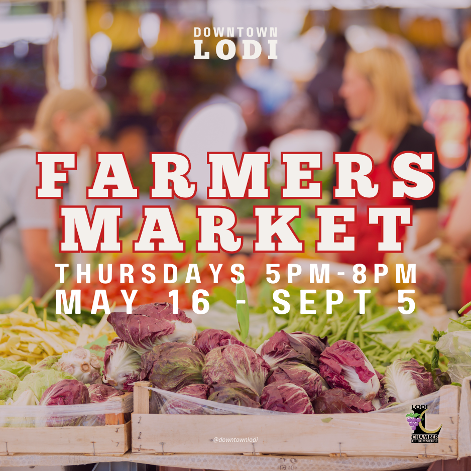 Blog — Downtown Lodi