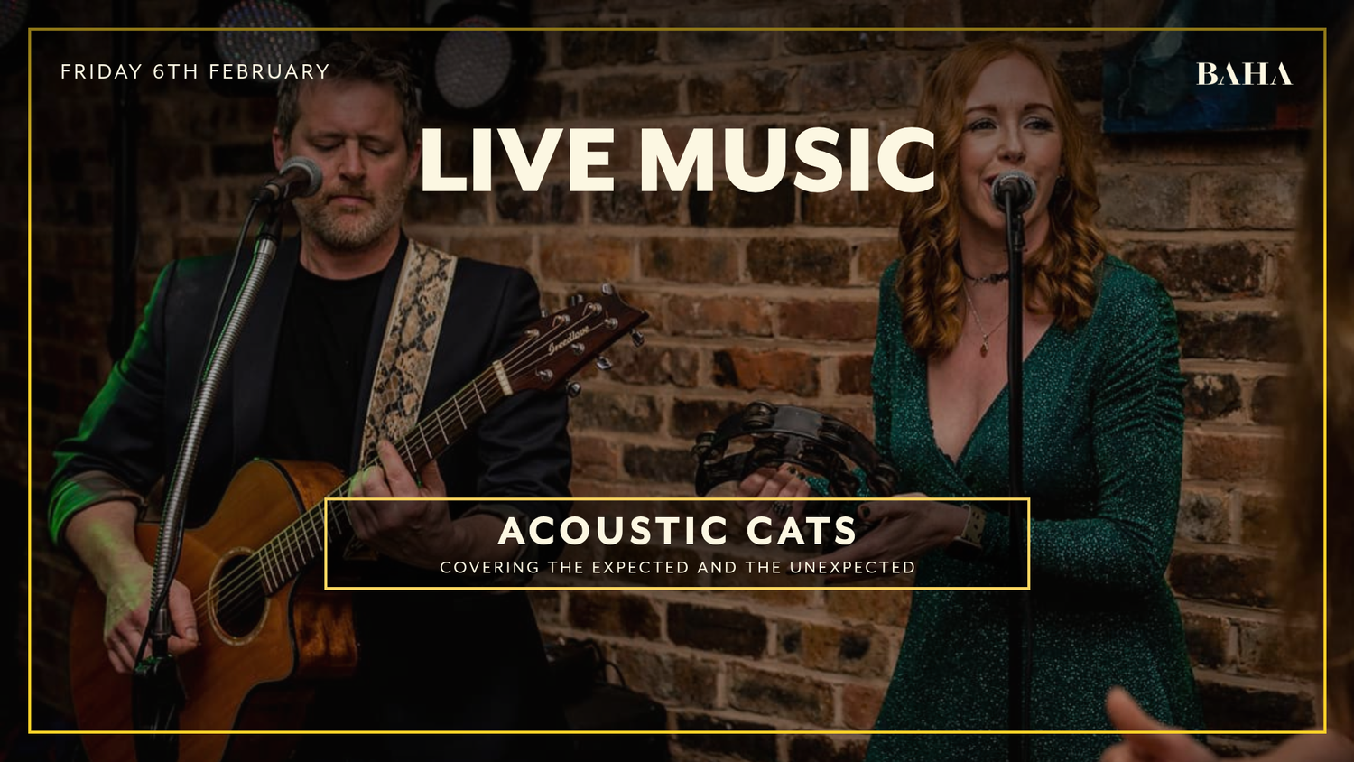 Acoustic Cats | Live Music | 6 February 2026 — BAHA Bowness