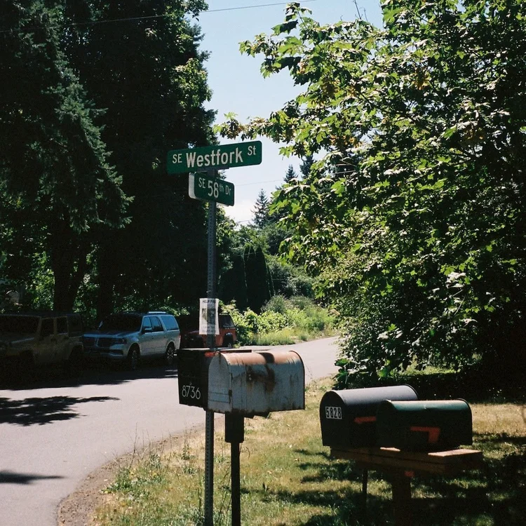 RHYS' beautifully textured indie-folk revels in solitude — Click Roll Boom