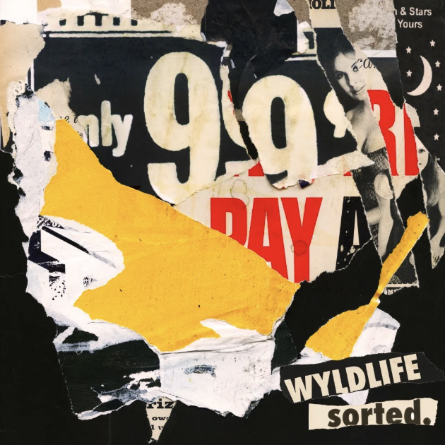 "Dizzy," the New Single from NYC’s WYLDLIFE, Is a Swaggering Love ...