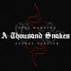 Ross Harding Announces ‘A Thousand Snakes Deluxe Version’ Single and UK ...