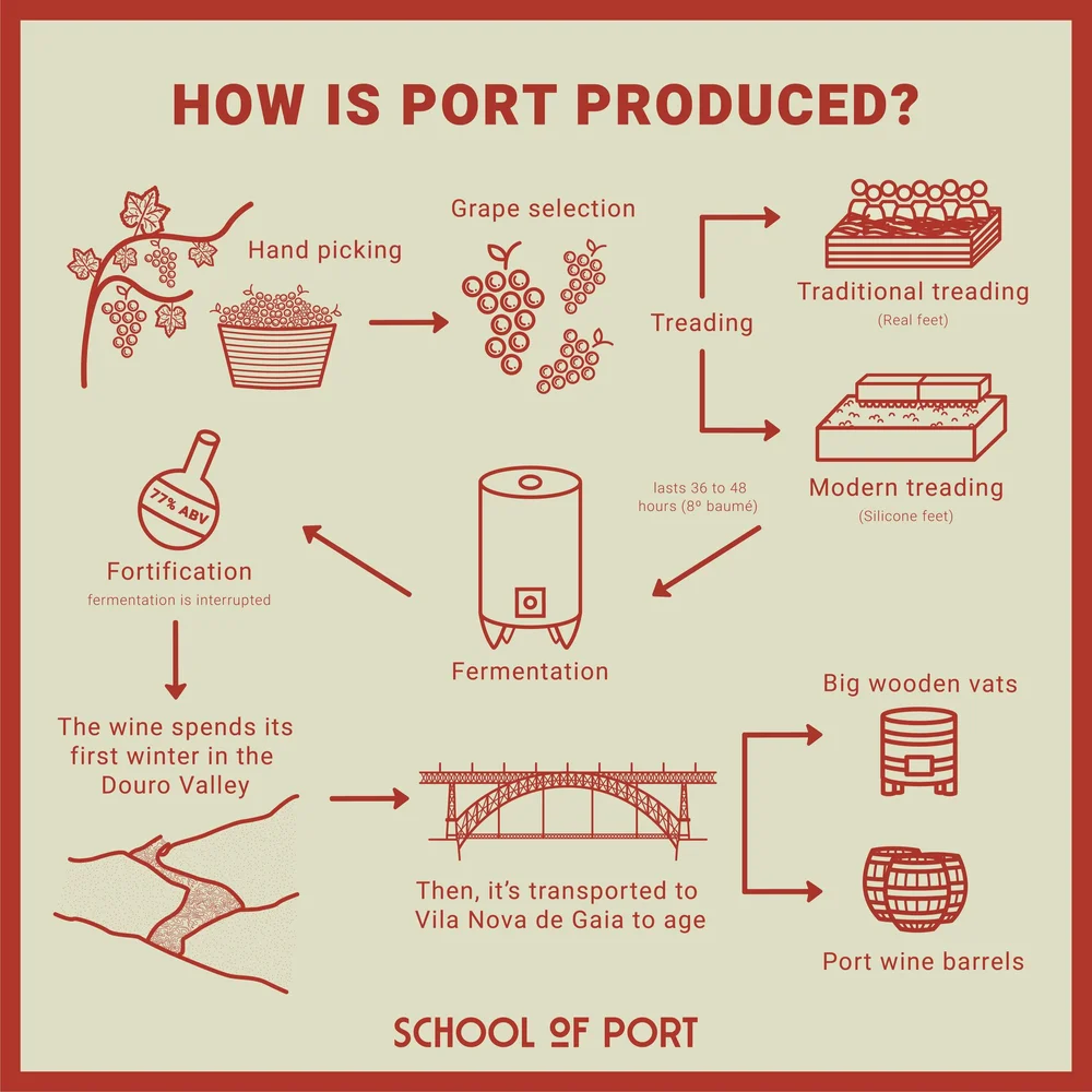 Ruby vs Tawny - Everything you need to know and more about Port wines ...