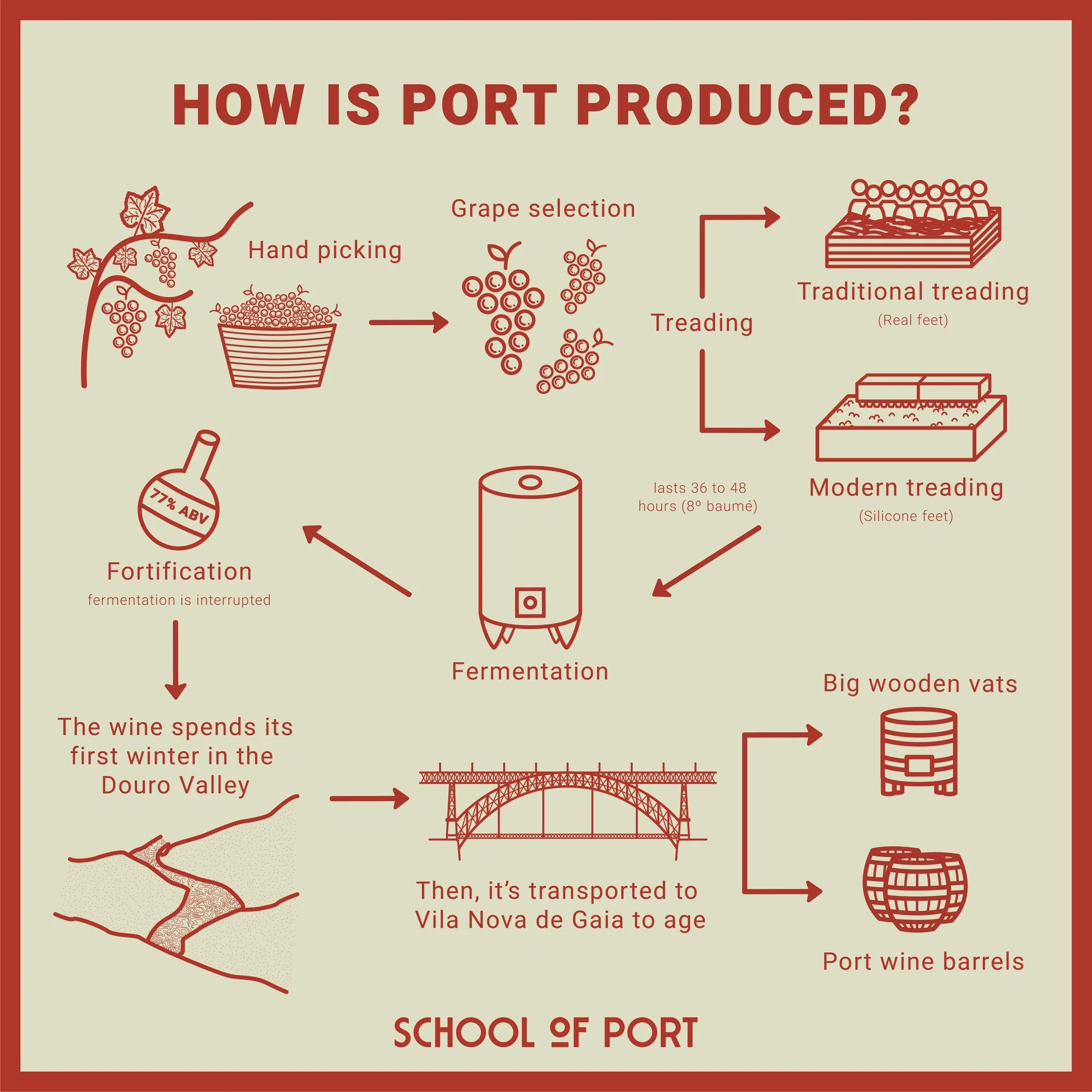 Ruby vs Tawny - Everything you need to know and more about Port wines ...