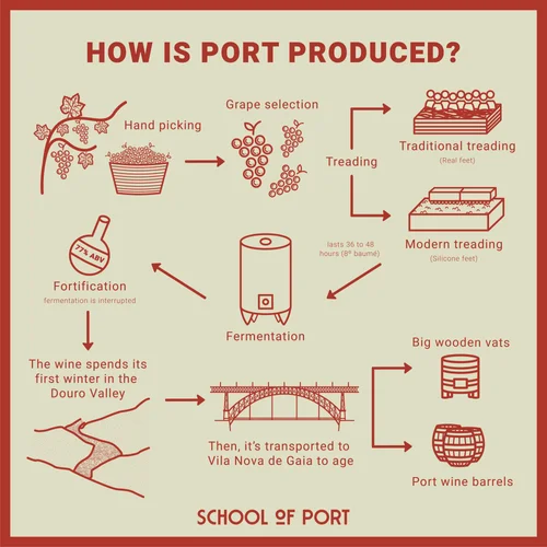 Ruby vs Tawny - Everything you need to know and more about Port wines ...