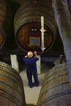 How Port Wine is Made | Explore Port's Creation — Port Wine Platform