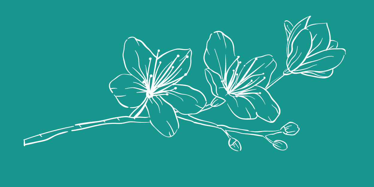Western Sydney Hypnobirthing Classes and Course Options — Your Body ...