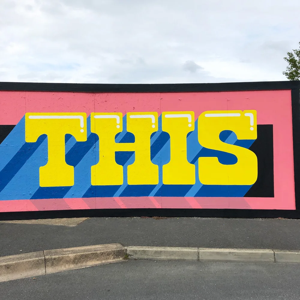 WALL MURAL - Kilkenny Street Art — SIGNS OF POWER