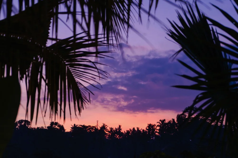 A Review of Nau Villas in Ubud, Bali — Barrettish